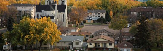 7 Examples of Everyday Items Transformed into Extraordinary Life ...