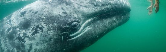 7 Examples of Everyday Items Transformed into Extraordinary Life ...