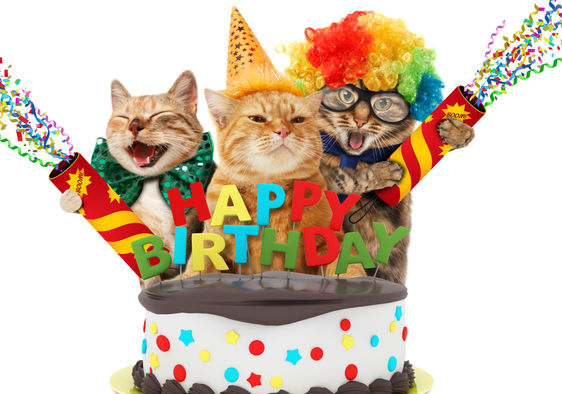 39 Free Zoom Backgrounds To Amp Up Your Virtual Party Happy Birthday ...