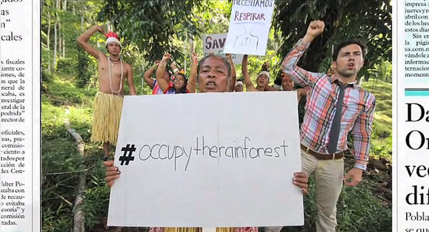 How to Save the Rainforest - Goodnet