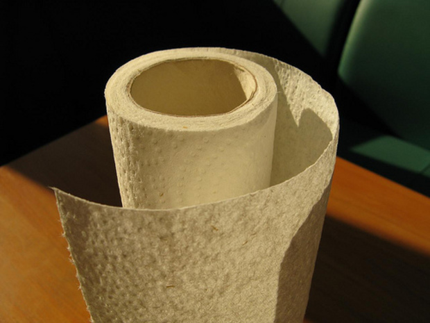 The Just-One-Paper-Towel Trick - Goodnet