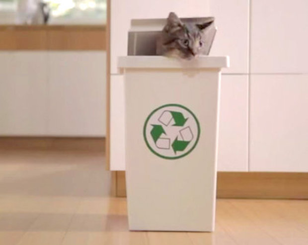 Norman the Cat is On a Quest to Save the Planet in this Ingenious Ad ...