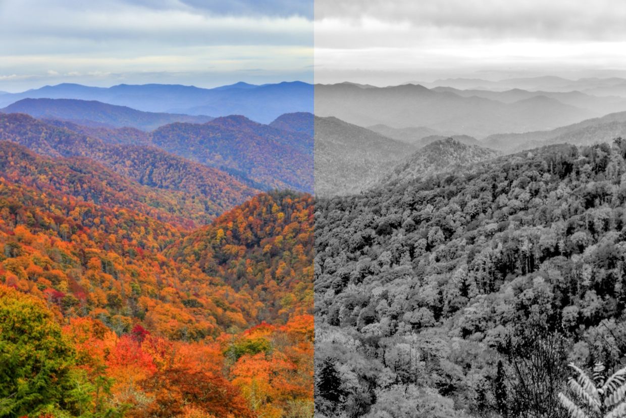 National Park Creates Special Device For Colorblind - Goodnet