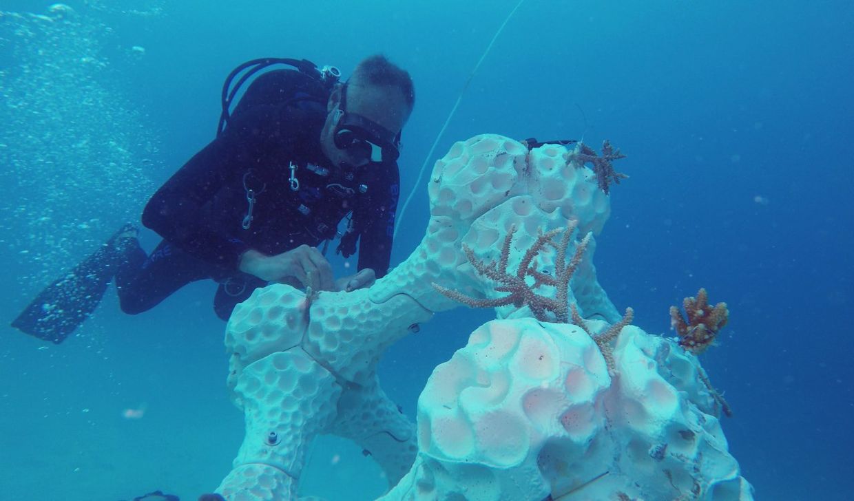 World's Largest 3D-Printed Reef Installed in the Maldives - Goodnet