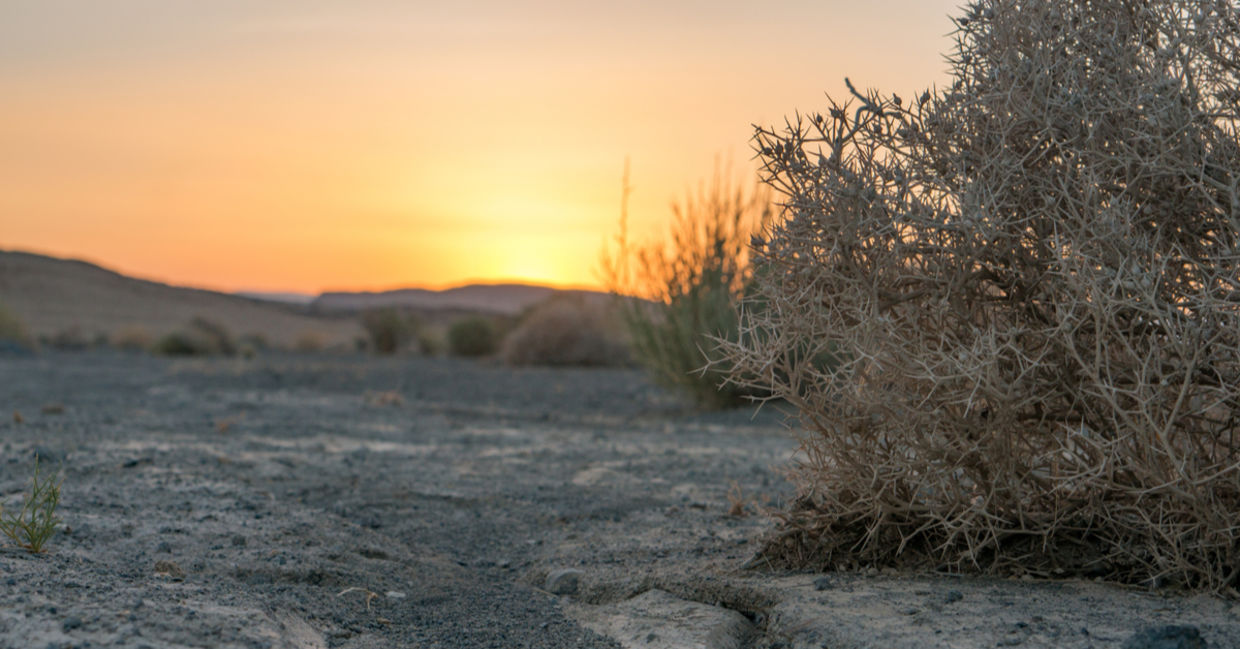 This Village in a Box Wants to Save the Planet - Goodnet