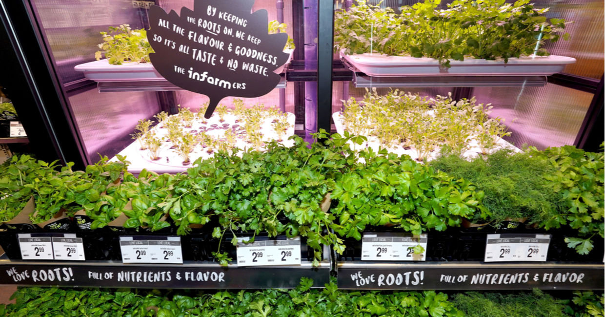 Greens Grown at Your Supermarket is Food as Local as it Gets - Goodnet