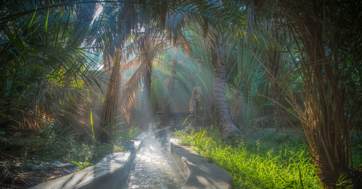 Making the Egyptian Desert Bloom Using Recycled Water - Goodnet