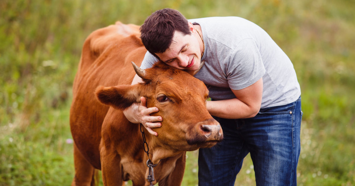 Cow Hugging Cow is a New Trend! - Goodnet