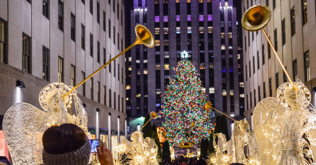 Adorable Owl Stows Away in Rockefeller Center Christmas Tree - Goodnet