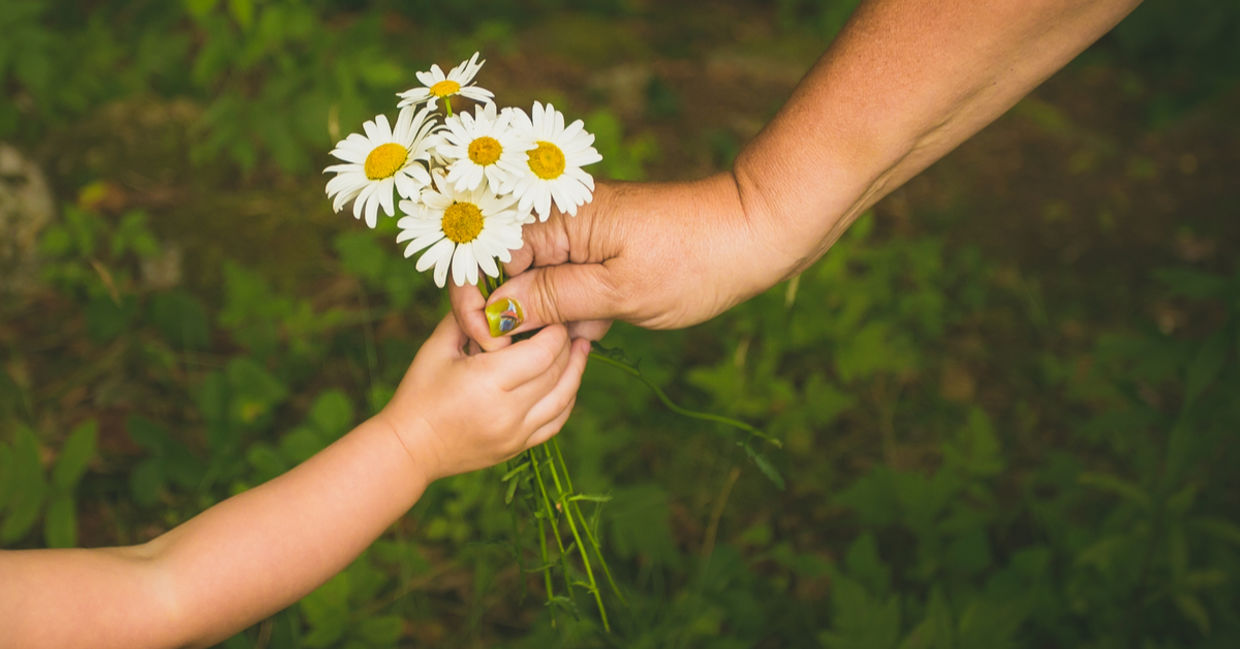 A 5-Minute Compilation Video That Proves it: Mankind is Kind - Goodnet