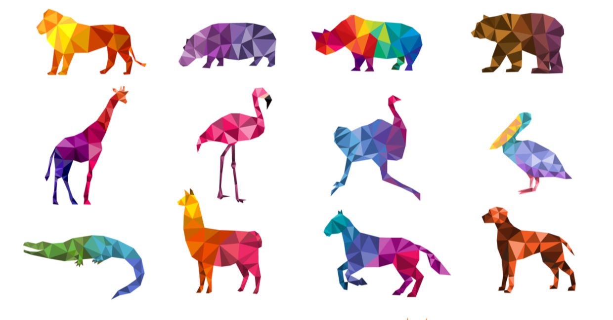 TED Talk of the Week: Photos That Add a Voice for the Animals - Goodnet