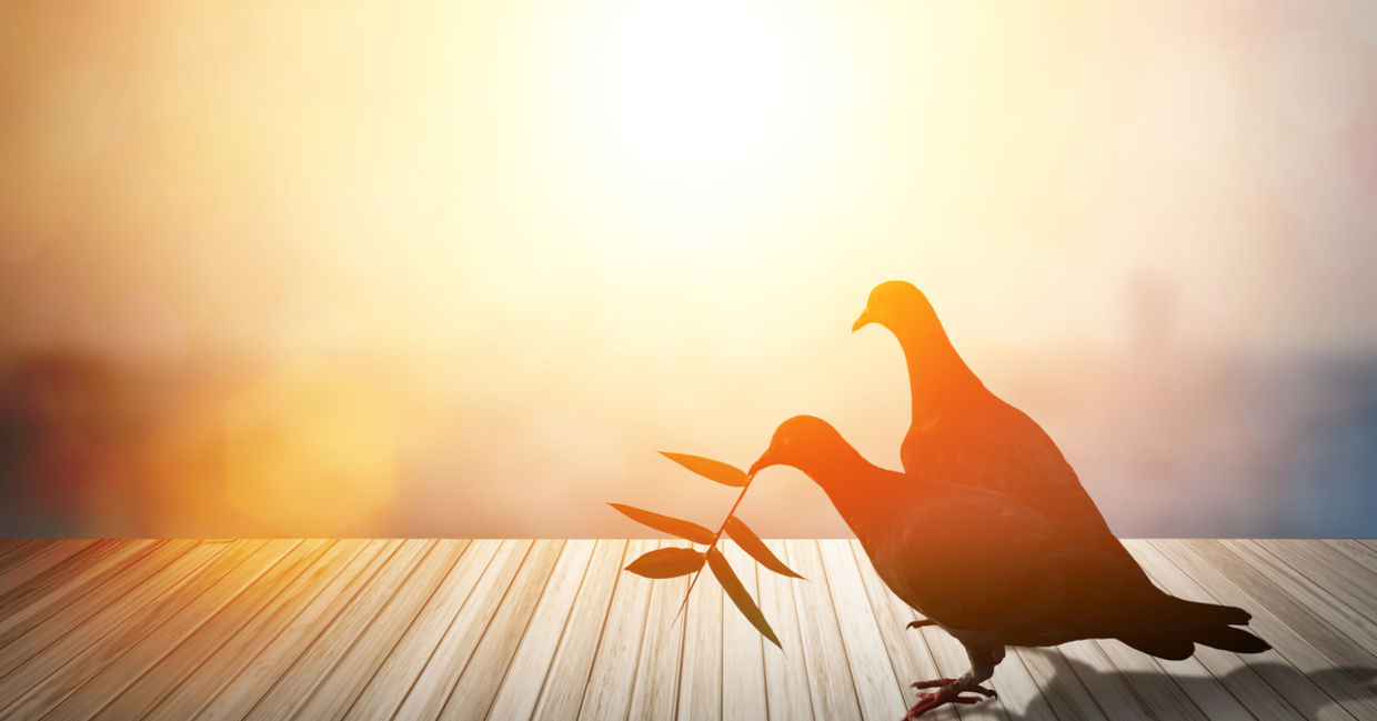 TED Talk of the Week – The World Peace Game - Goodnet