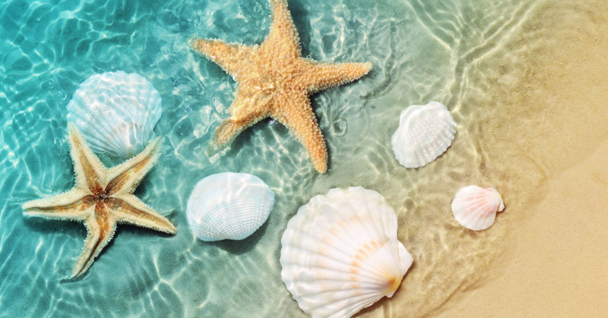 15 Inspirational Quotes About Summer - Goodnet