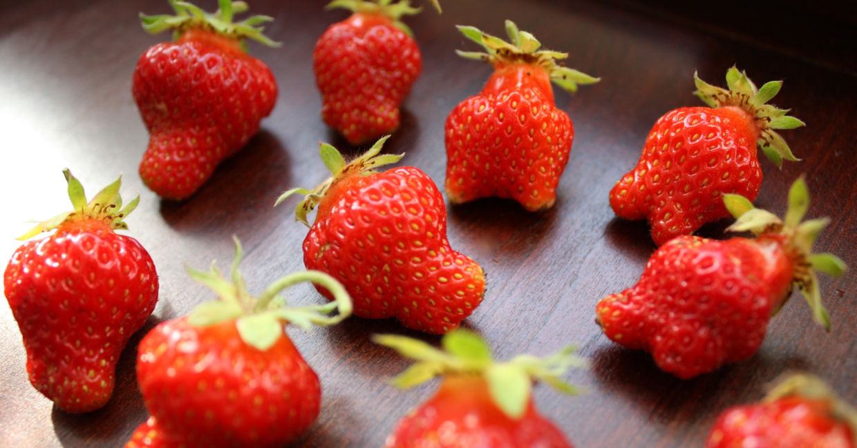 Imperfect Fruits and Vegetables Prove Beauty Is More than Skin Deep ...