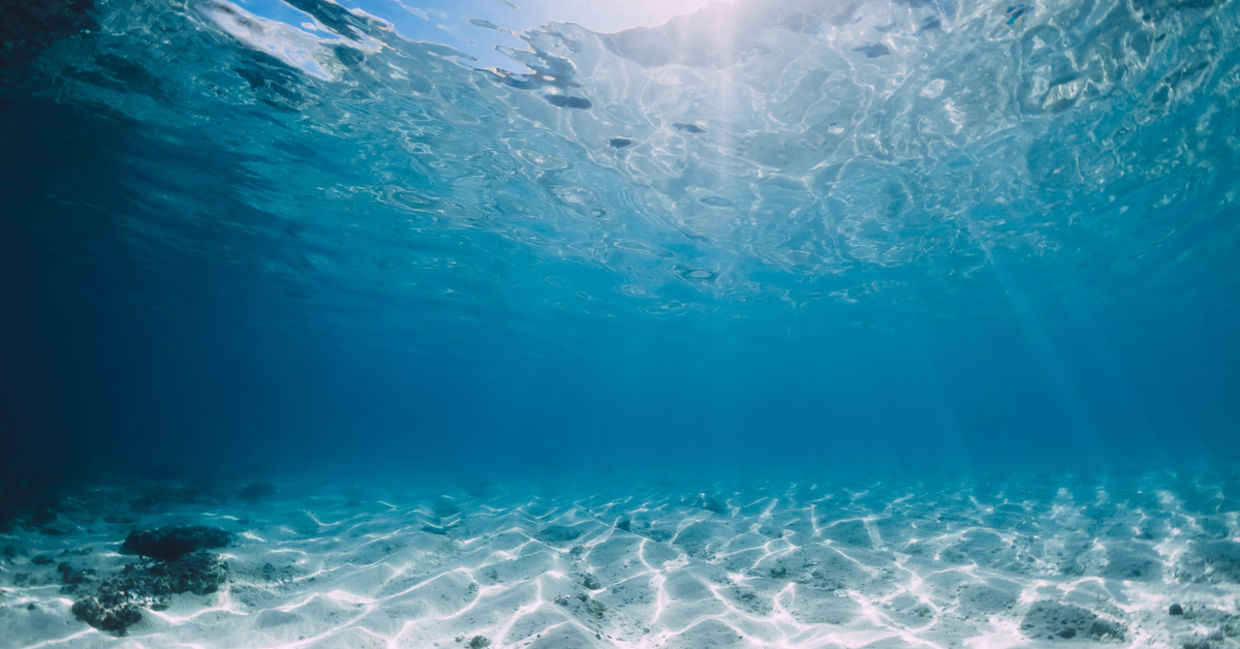 How to Give the Oceans a Chance to Celebrate [VIDEO] - Goodnet