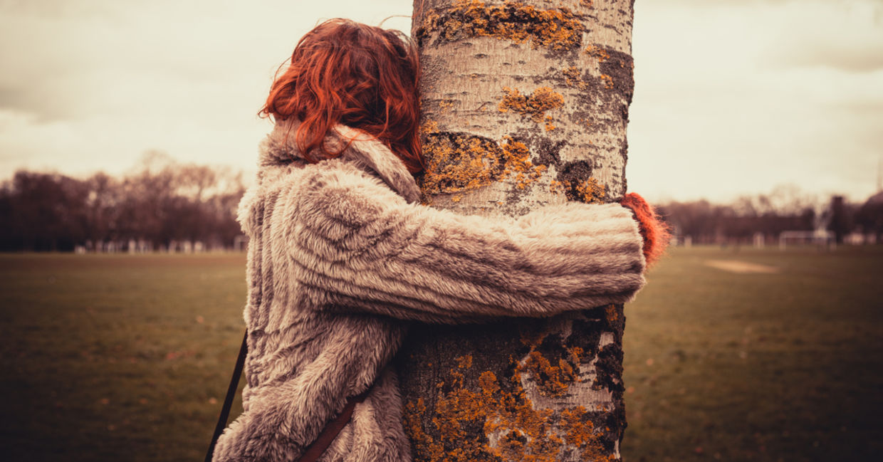 A Day in the Life of a Bona Fide Treehugger [VIDEO] - Goodnet