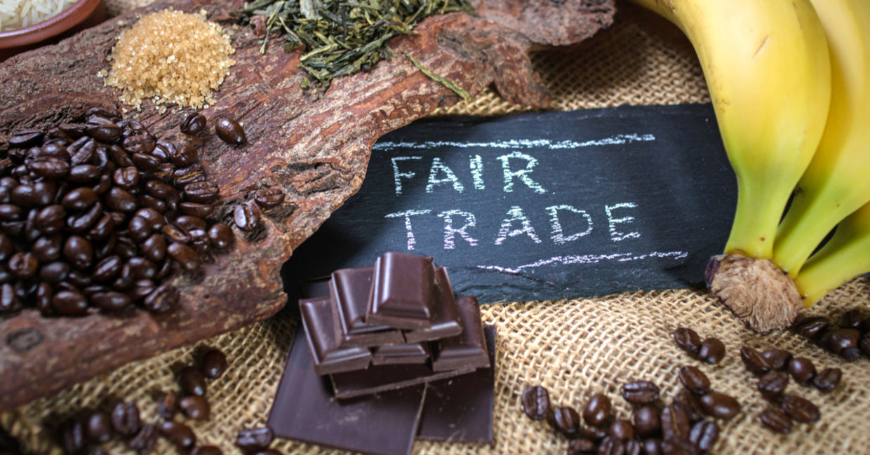 What We Can Learn from Kids about the Merits of Fair Trade [VIDEO ...
