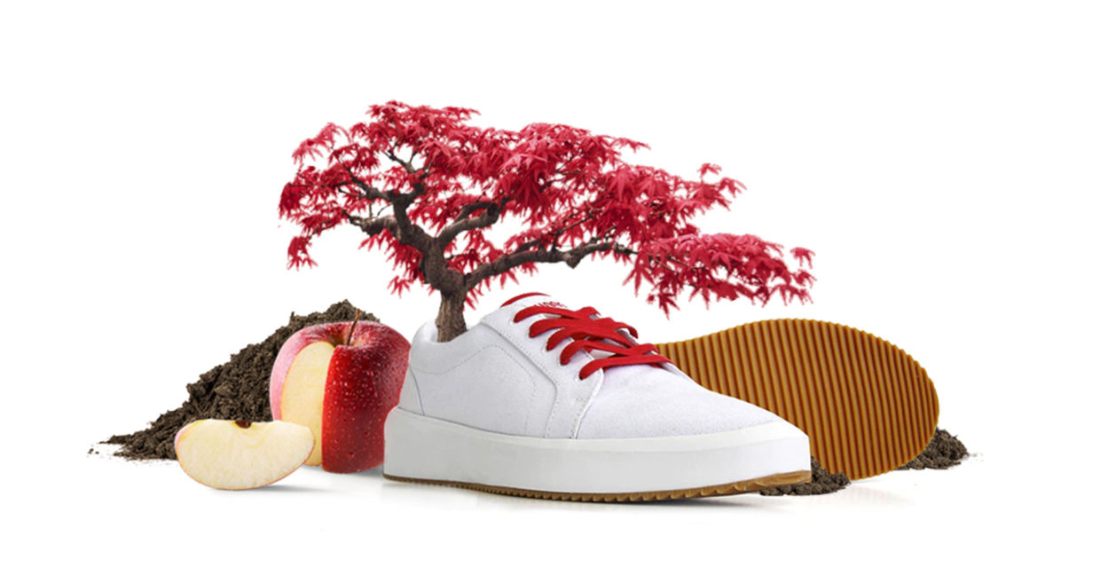 This Shoe Grows Into a Tree! - Goodnet