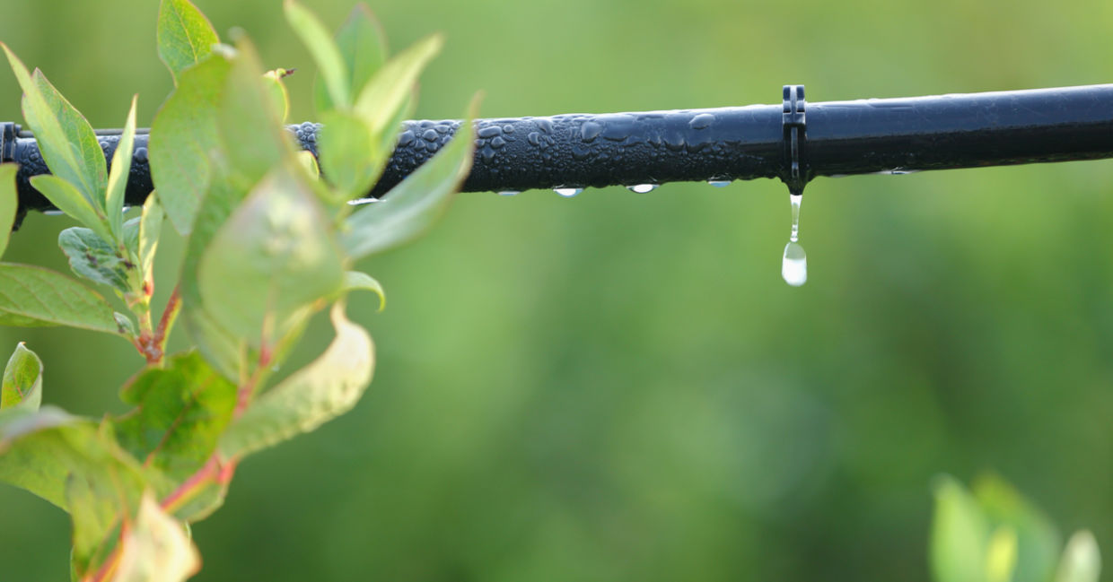 An Irrigation System That Can Talk to Plants! - Goodnet