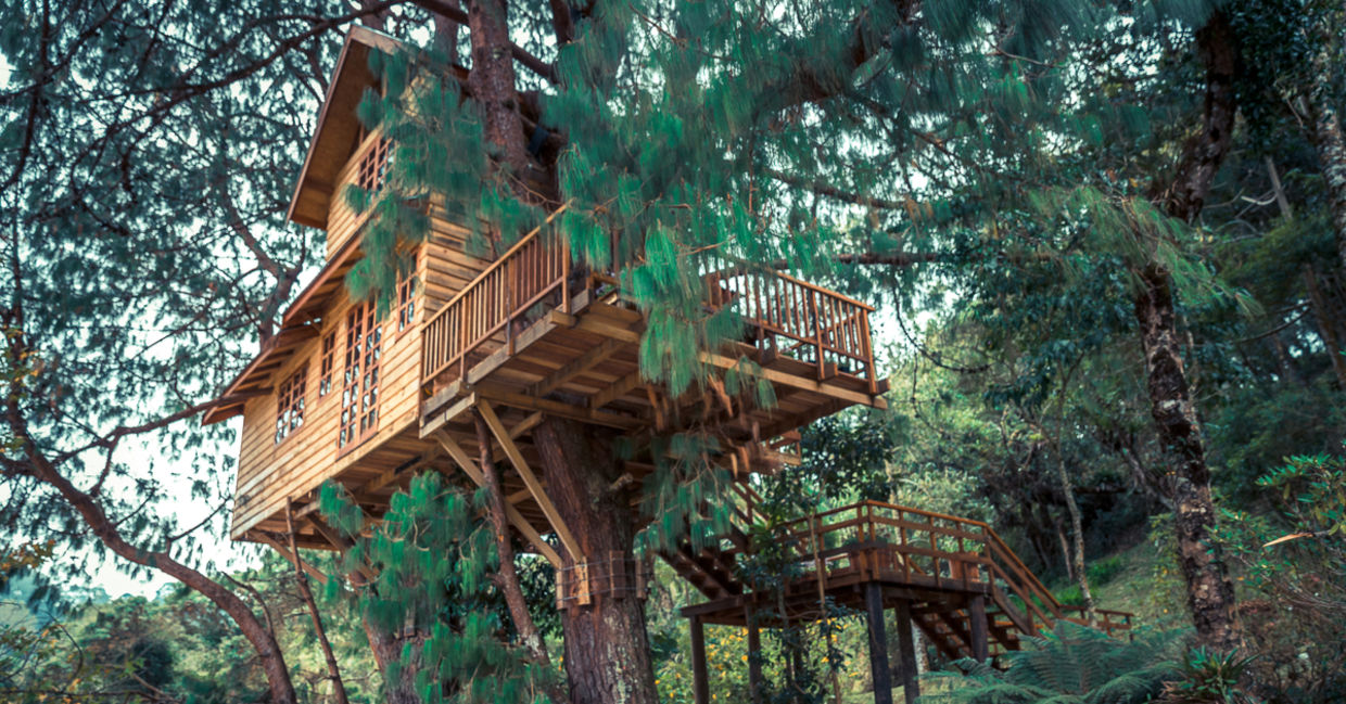 Introducing the World's Biggest Treehouse Resort - Goodnet