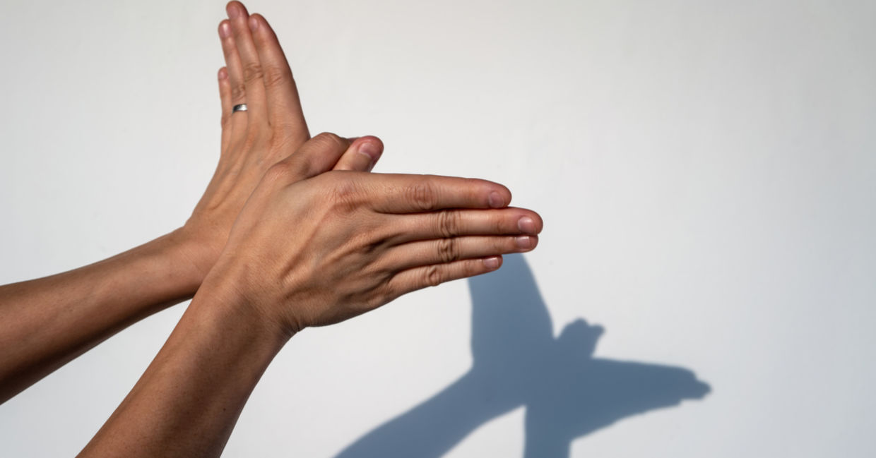 Hand Illusions - What's Real? - Goodnet