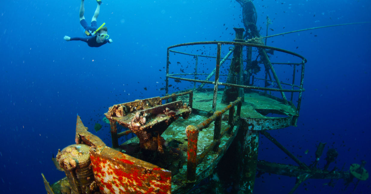 Innovative Robotic Device Grasps Objects Underwater - Goodnet