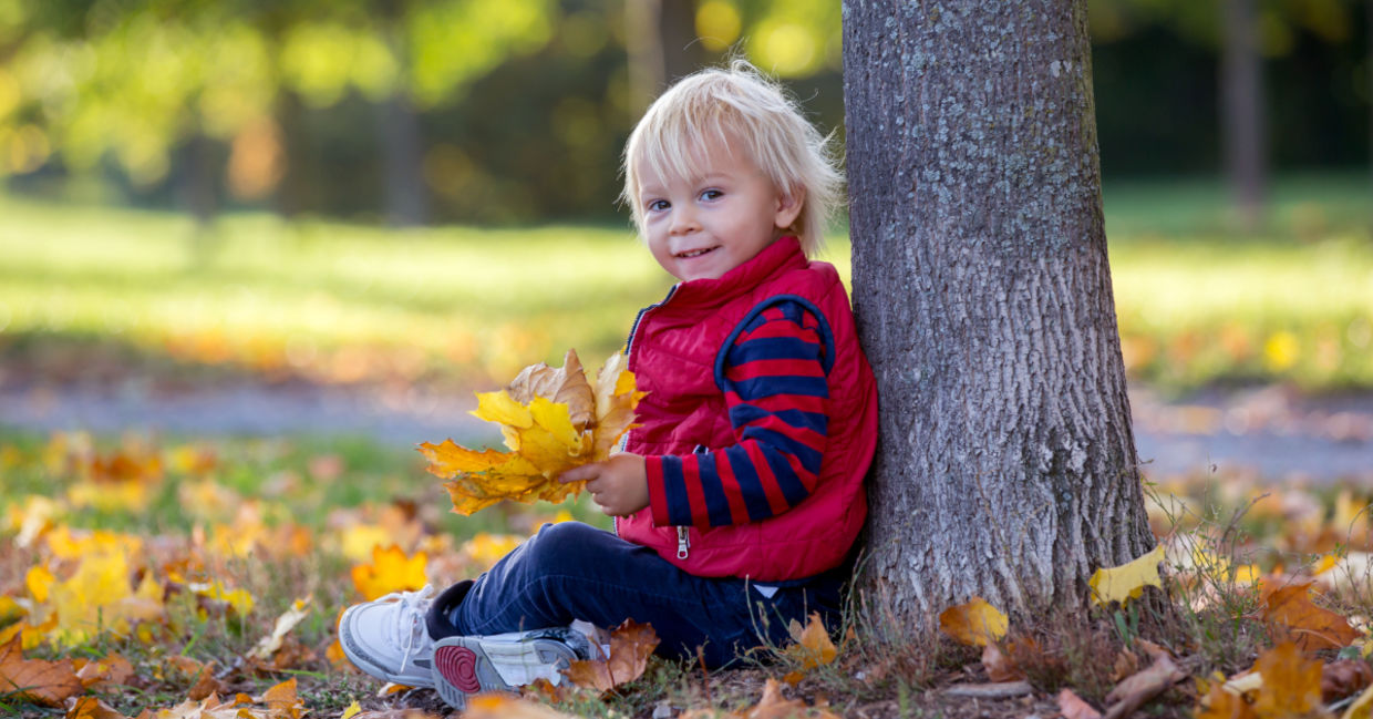 How a 2 Year Old Sees the World - Goodnet