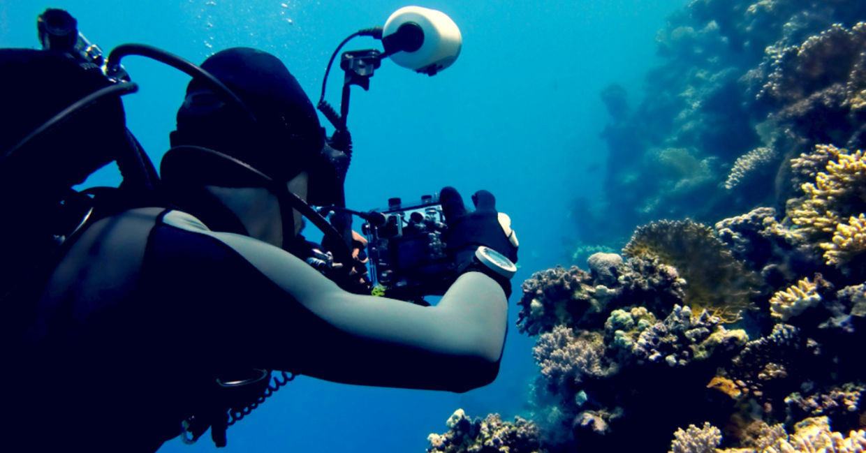 Coral Reef Champion Emerges From Obscurity - Goodnet