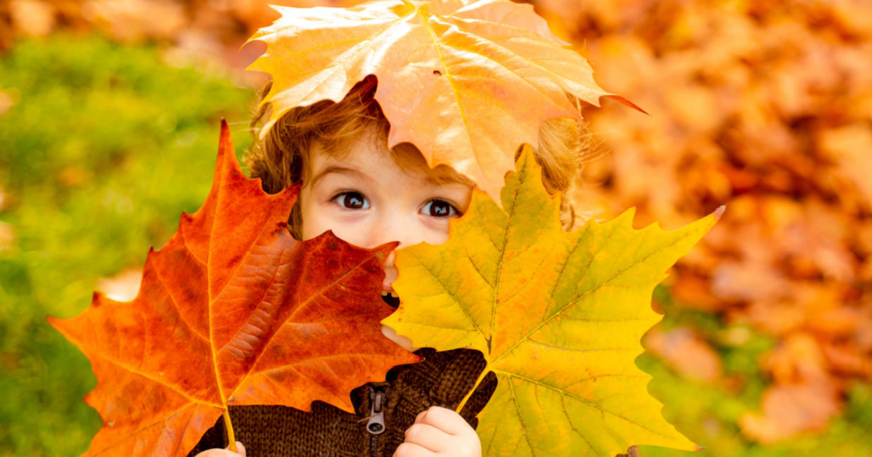 10 Inspirational Quotes to Celebrate Fall - Goodnet