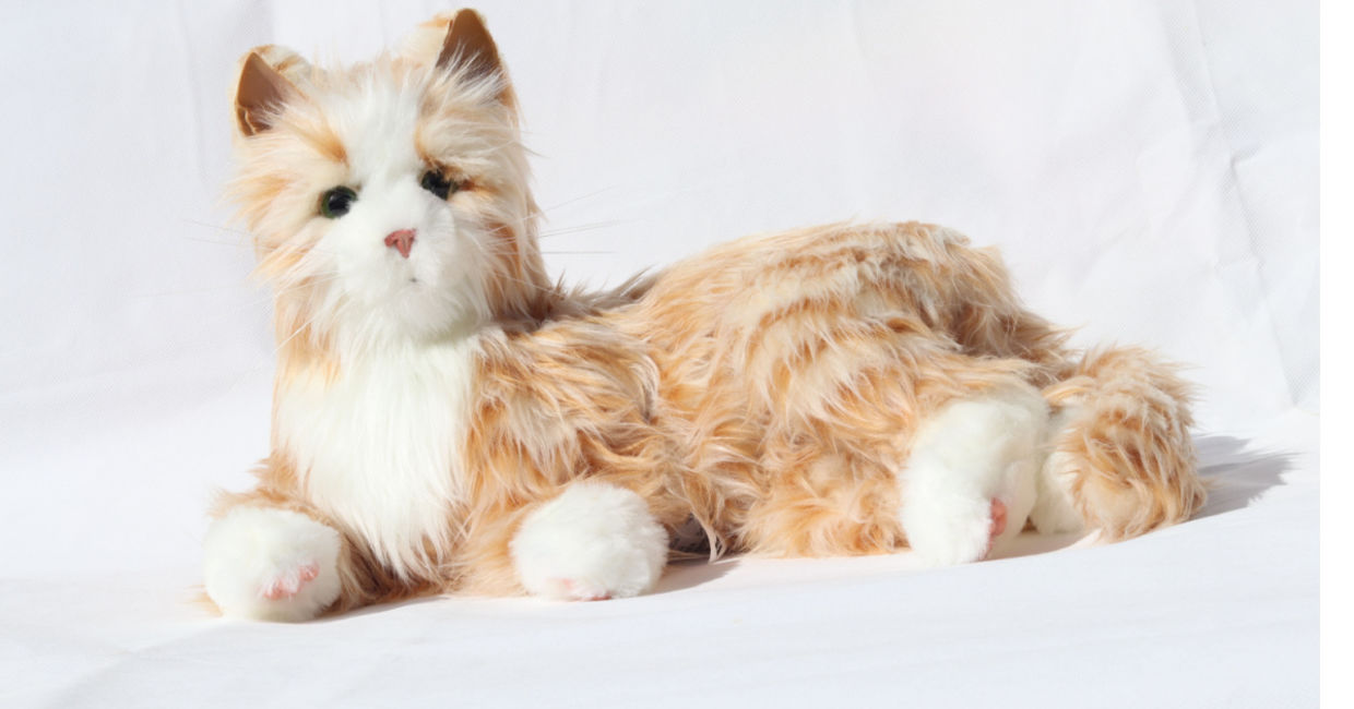 This Oregon Library Allows You to Take Out Robot Cats - Goodnet