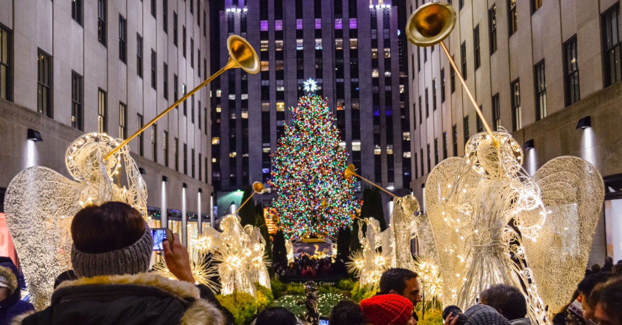 The 2023 Rockefeller Center Christmas Tree Has Arrived - Goodnet