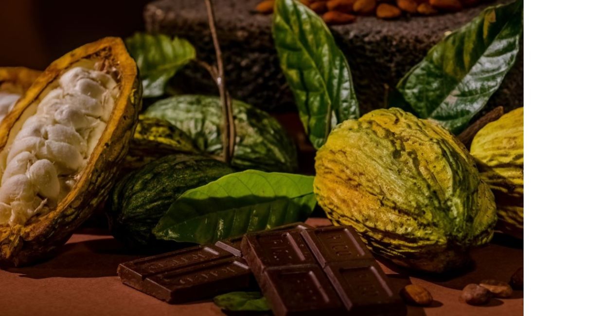 Swiss Scientists' Make a Chocolate Breakthrough - Goodnet