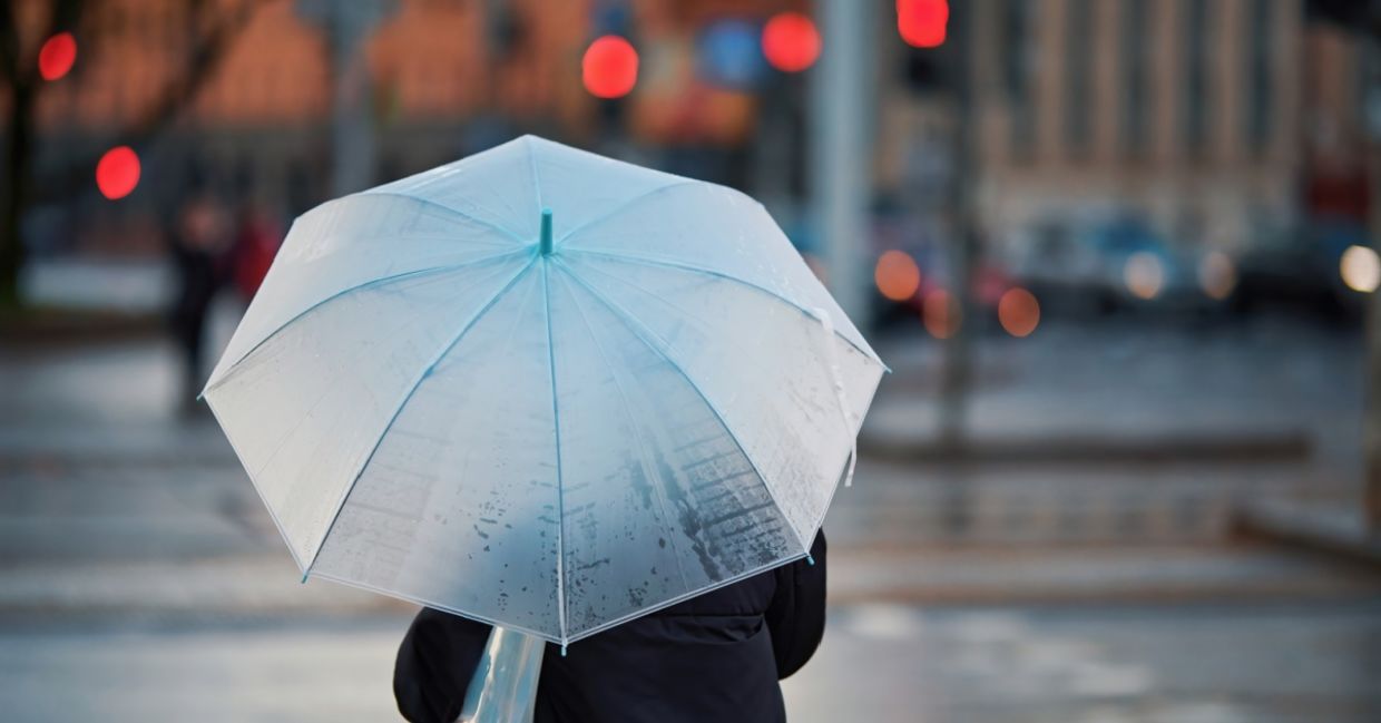 Meet the World's First Origami Umbrella - Goodnet