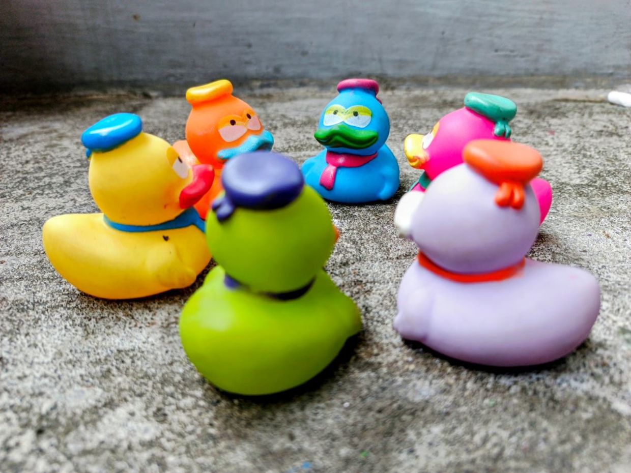 Duck Libraries are Bringing Joy all Over NY - Goodnet